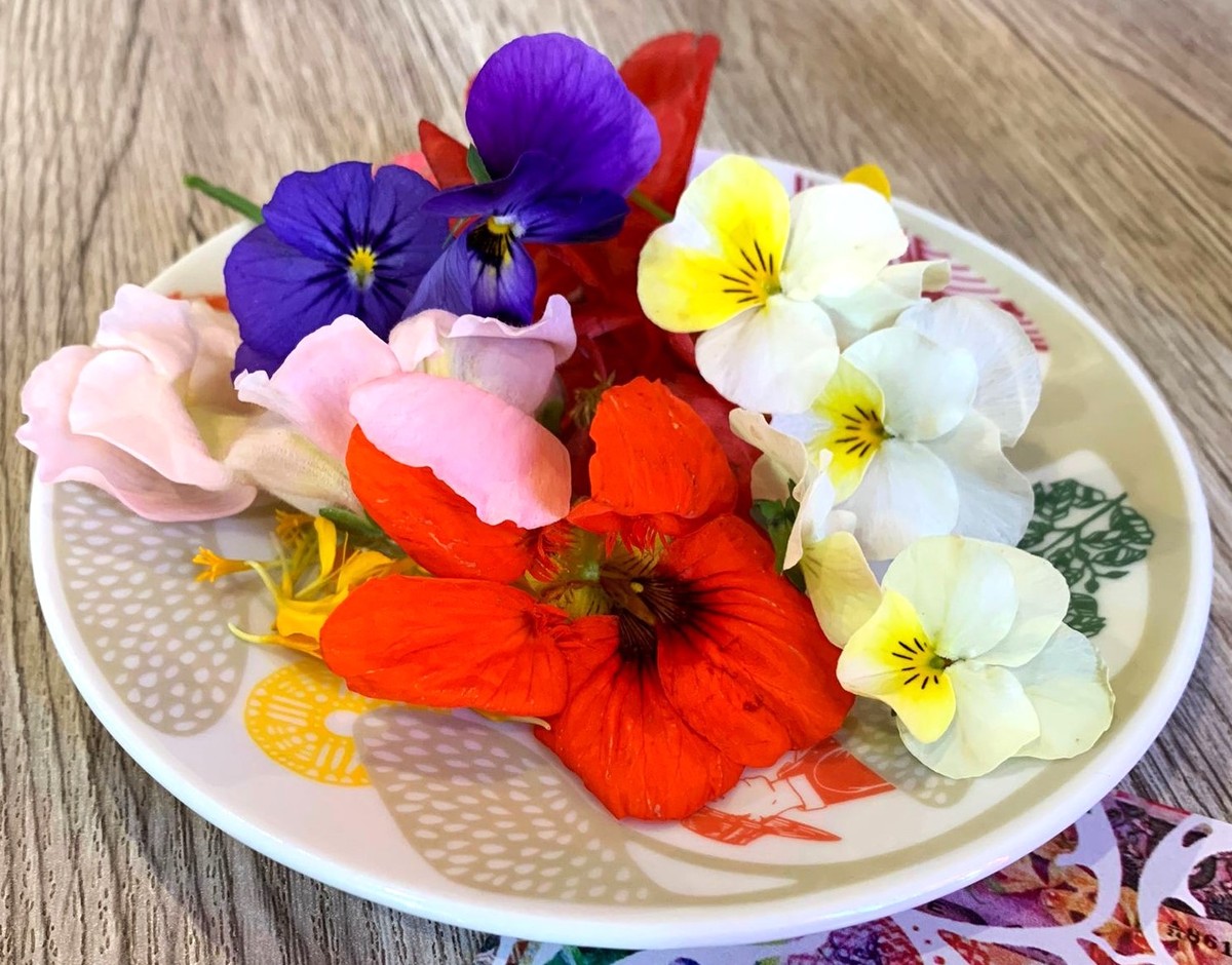 A Torino presso il Ristorante La Cloche una serata speciale: a "Tavola ...