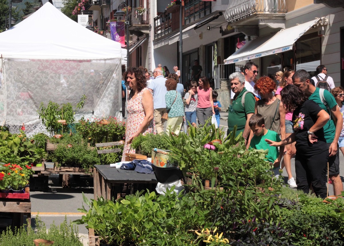 FLOR Estate: la Natura prende casa a Bardonecchia - Torino Oggi