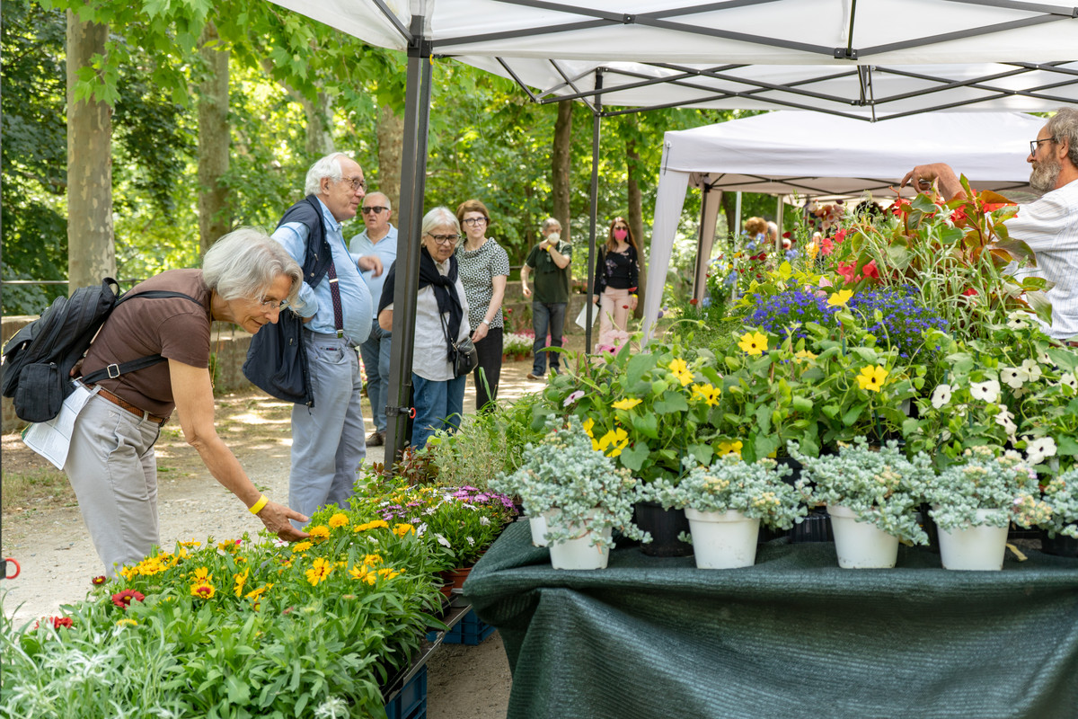 Riscoprire il patrimonio ambientale di Torino: a fine maggio arrivano ...