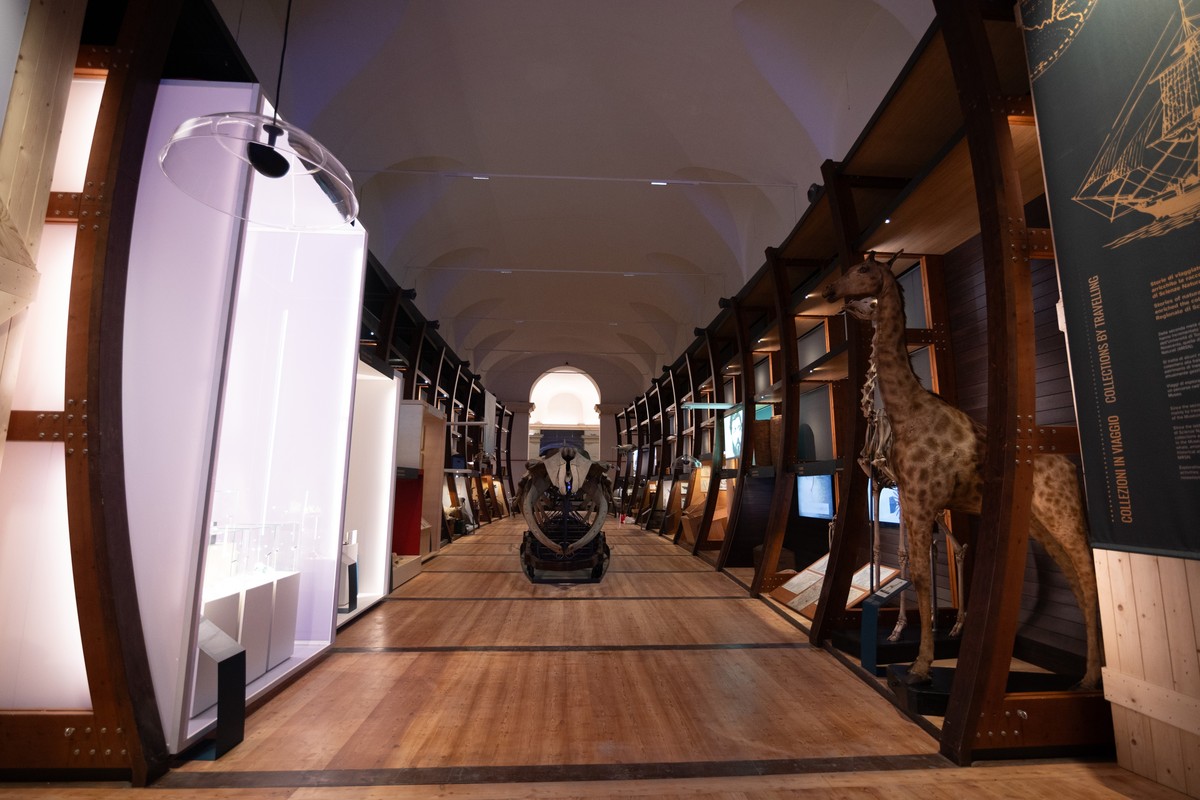 Il Museo di Scienze naturali fa subito boom: dopo la riapertura, tutto ...