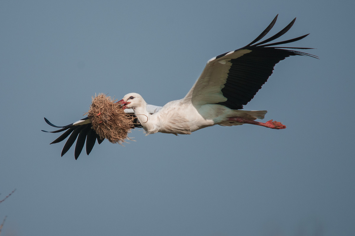 Fiocco azzurro per Torino Oggi: è nato Francesco, il figlio di Cinzia ...