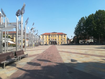 Nichelino promuove la realizzazione condivisa di un albero di Natale ...