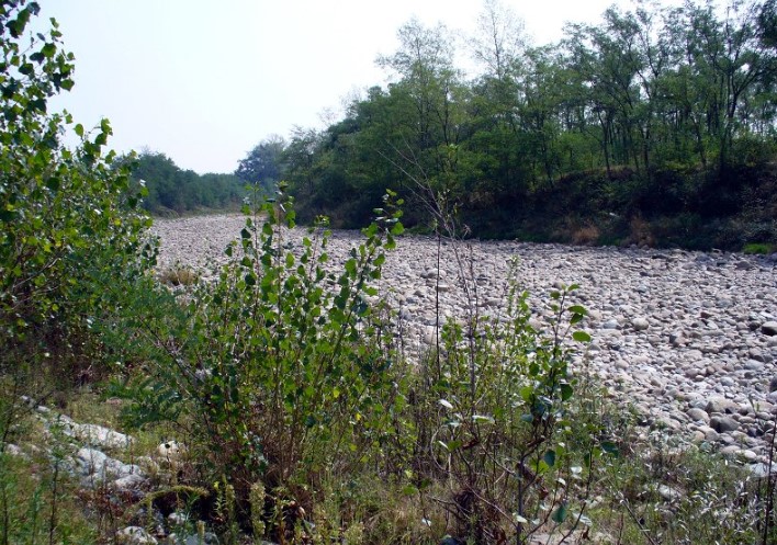 Cambiamento climatico, dalla Regione 12 milioni di euro per proteggere ...