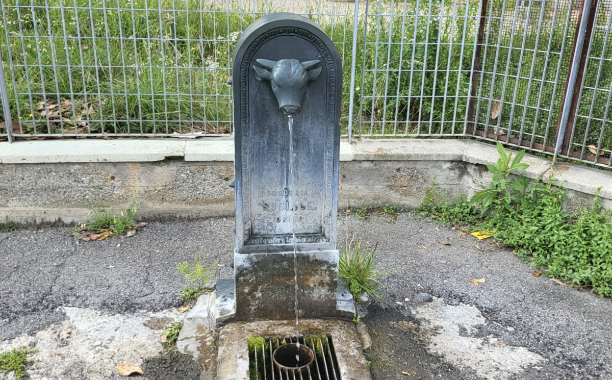 Il simbolo dell’orgoglio torinese nasce oltre 160 anni fa: il Toret, la ...