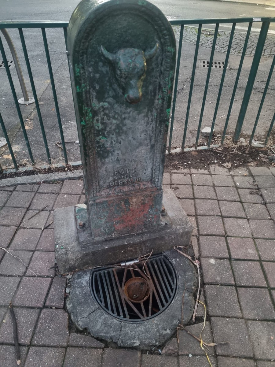 A Torino 719 toret: solo tre fontane simbolo sono fuori uso - Torino Oggi