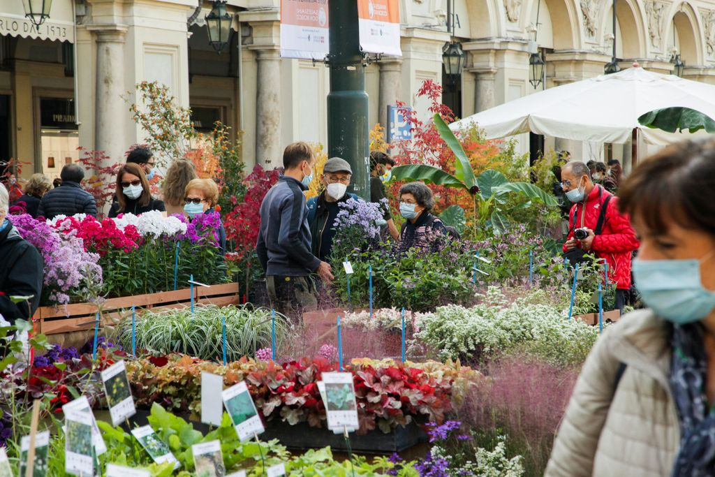 Da venerdì a domenica Torino si colora con l'edizione primaverile di ...