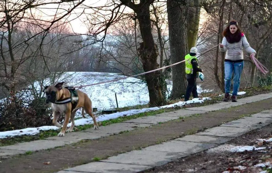 Da una discarica in Sardegna alla ricerca di persone disperse in ...